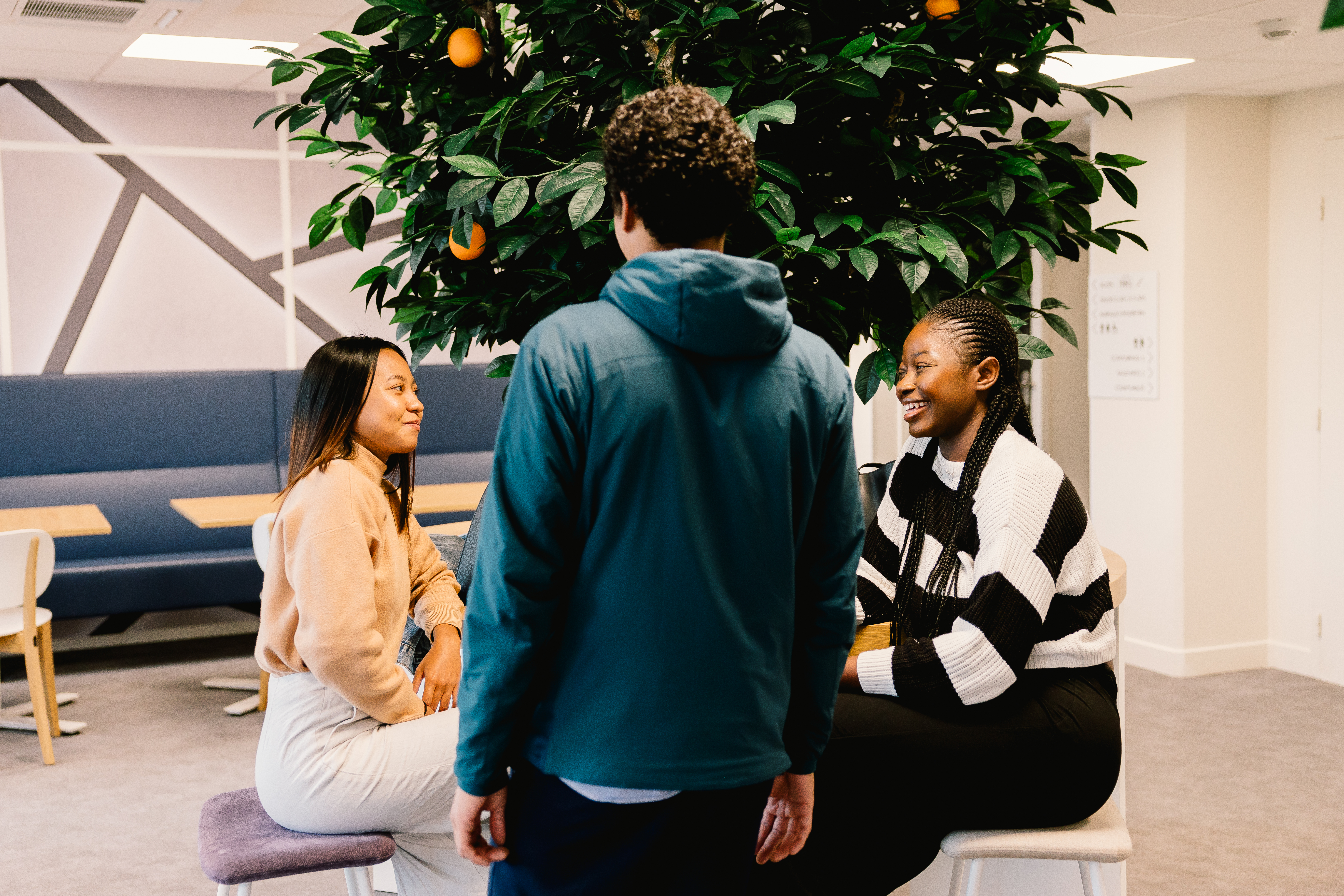 Master of Science International Business Management - INSEEC