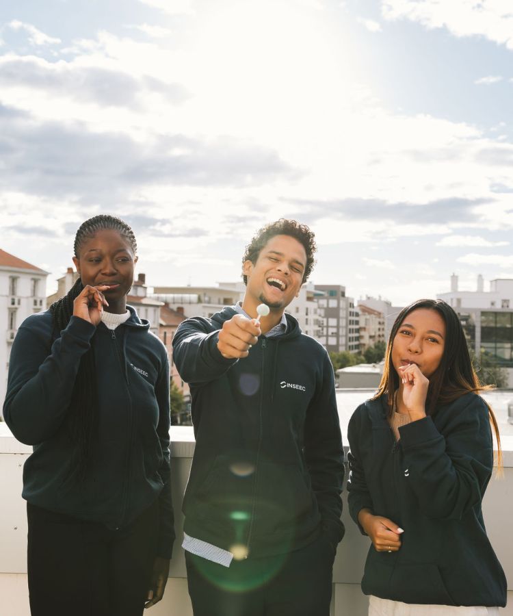 Master of Science Communication, Advertising & Digital Strategy - INSEEC