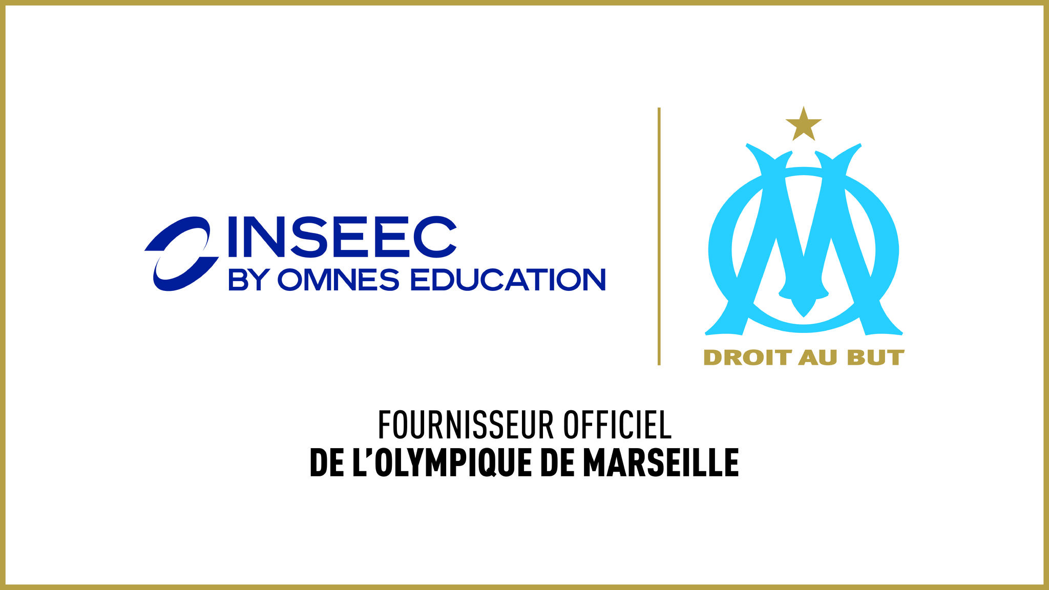 Master of Science Marketing du Sport & Expérience Client - INSEEC